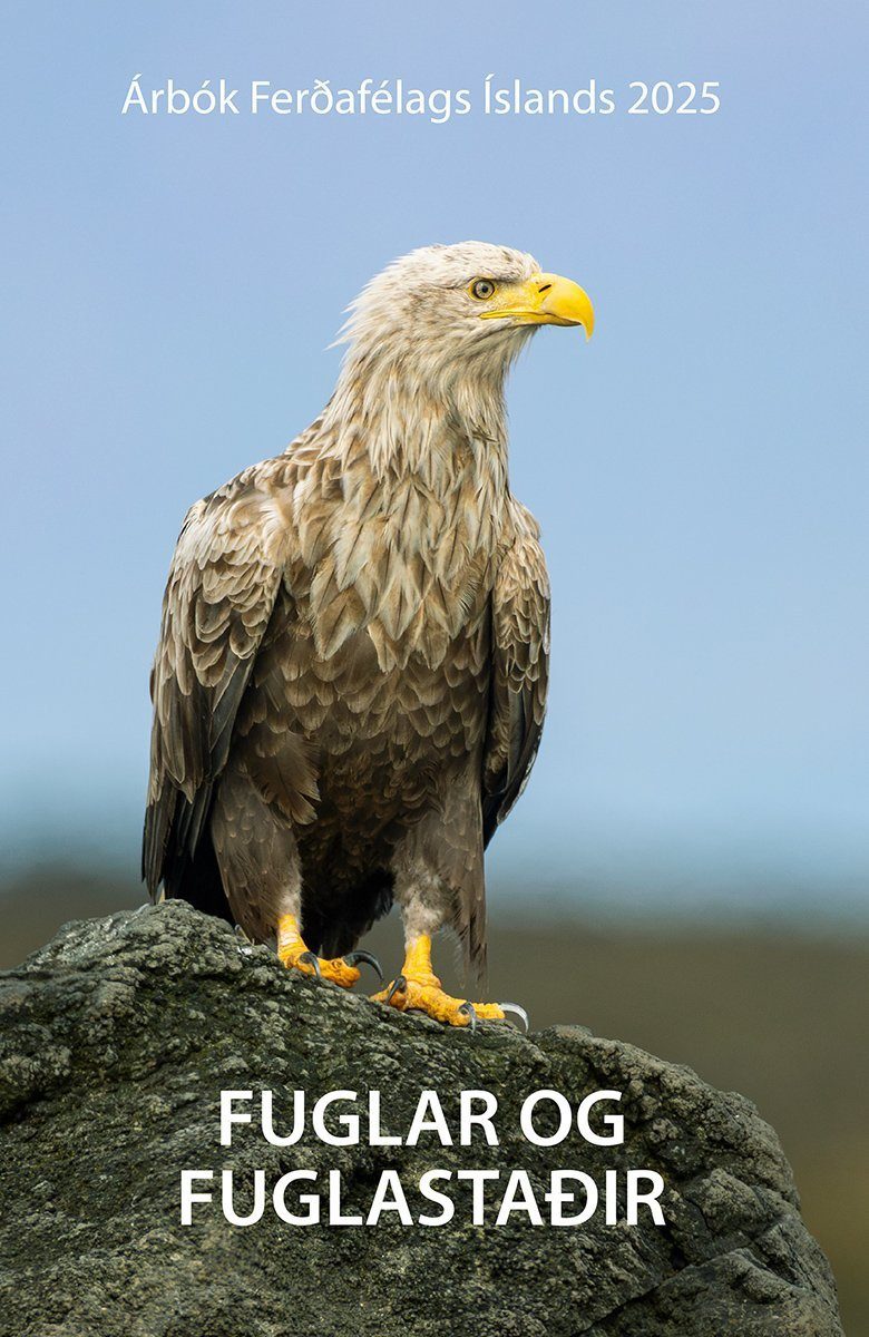 Fuglar og fuglastaðir | Bókasafn Hafnarfjarðar